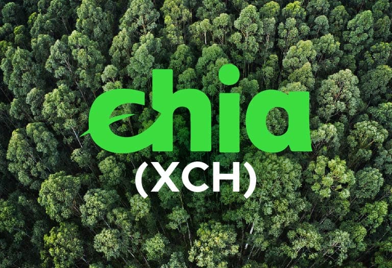 Chia XCH: A Beginner’s Guide to the Sustainable Cryptocurrency ...
